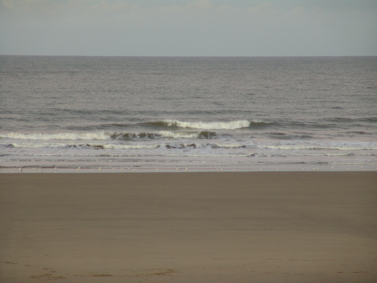 Rest Bay - Porthcawl Surf
